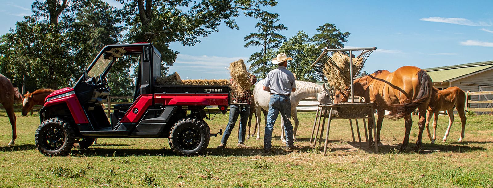 Diesel UTVs - Shop Brahma Diesel UTVs | Yanmar
